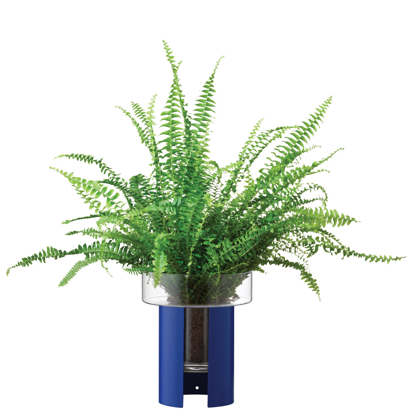 LSATERRAZZA テラッツァ Planter H22cm（Clear/Cobalt Blue） / Living Talk Decor ...