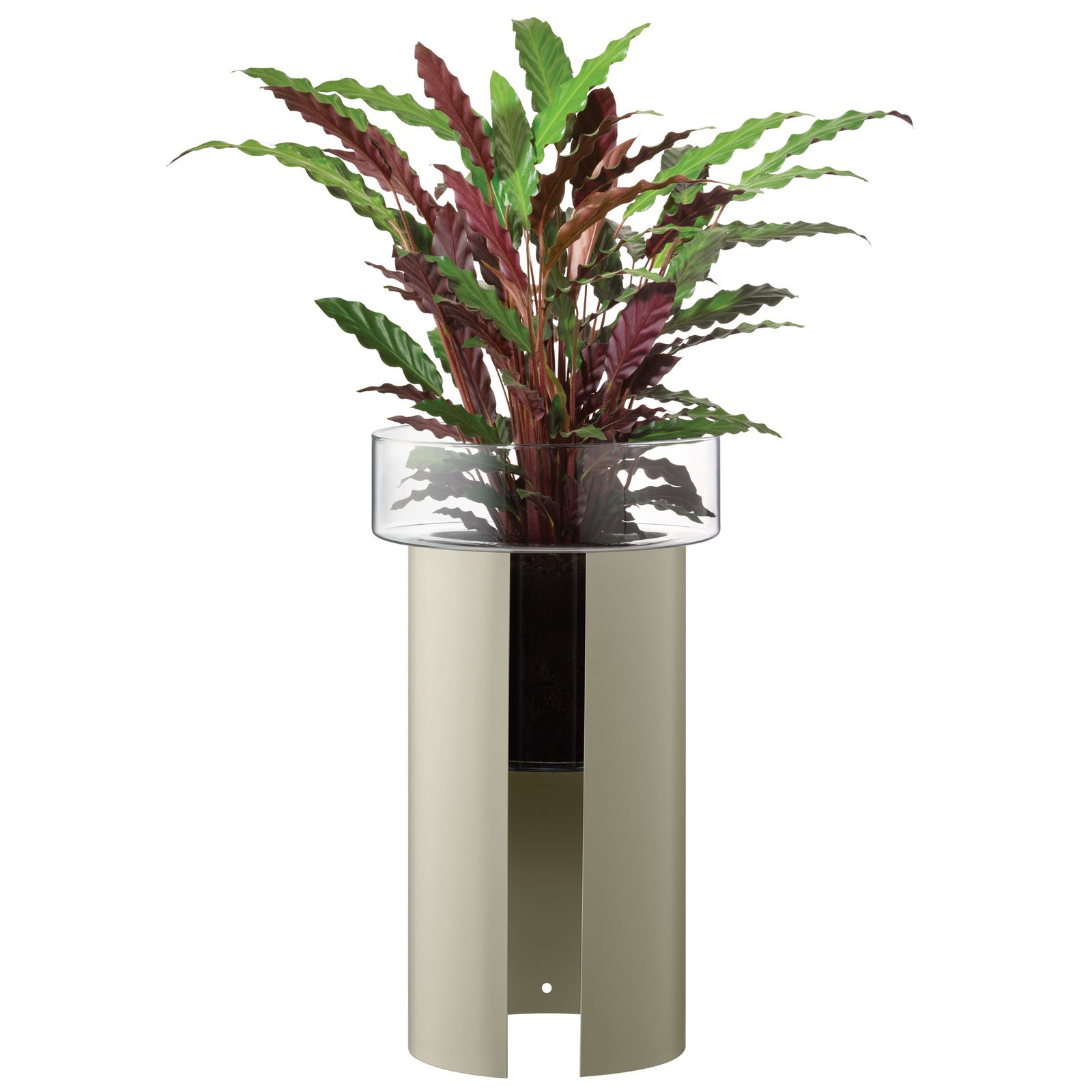 TERRAZZA テラッツァ Planter H60cm（Clear/Concrete Grey） / Living Talk Decor ...